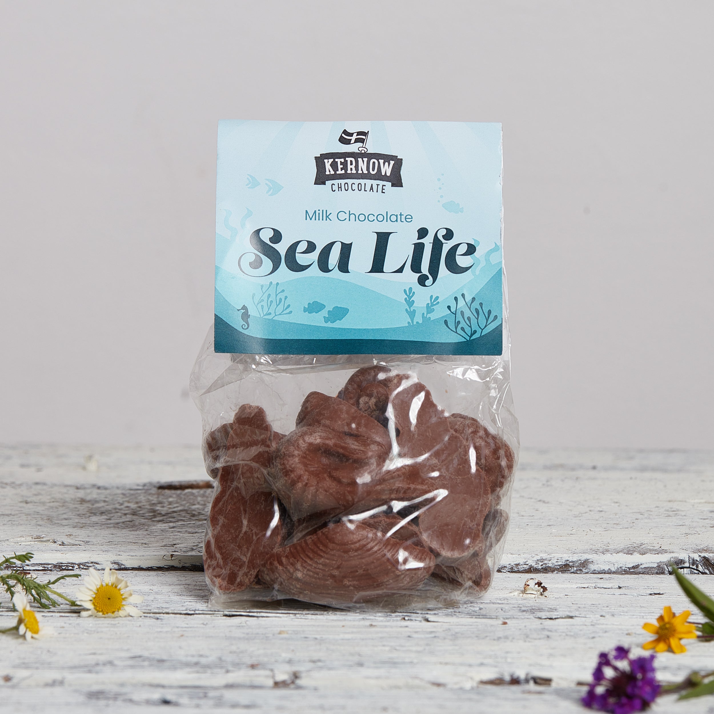 Kernow Sea Life Chocolate 100g – CornishHampers.com